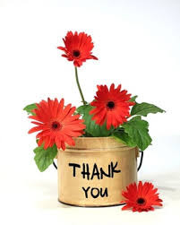 LivelyCart PRO : Jalbera Flowers